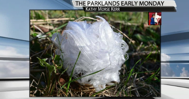 Frost Flowers: The Conditions Required For This Unique Weather ...