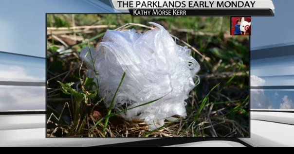 Frost Flowers: The Conditions Required For This Unique Weather ...