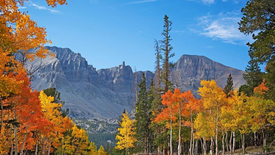 Kentucky road makes the list for best scenic fall foliage drive | Local ...