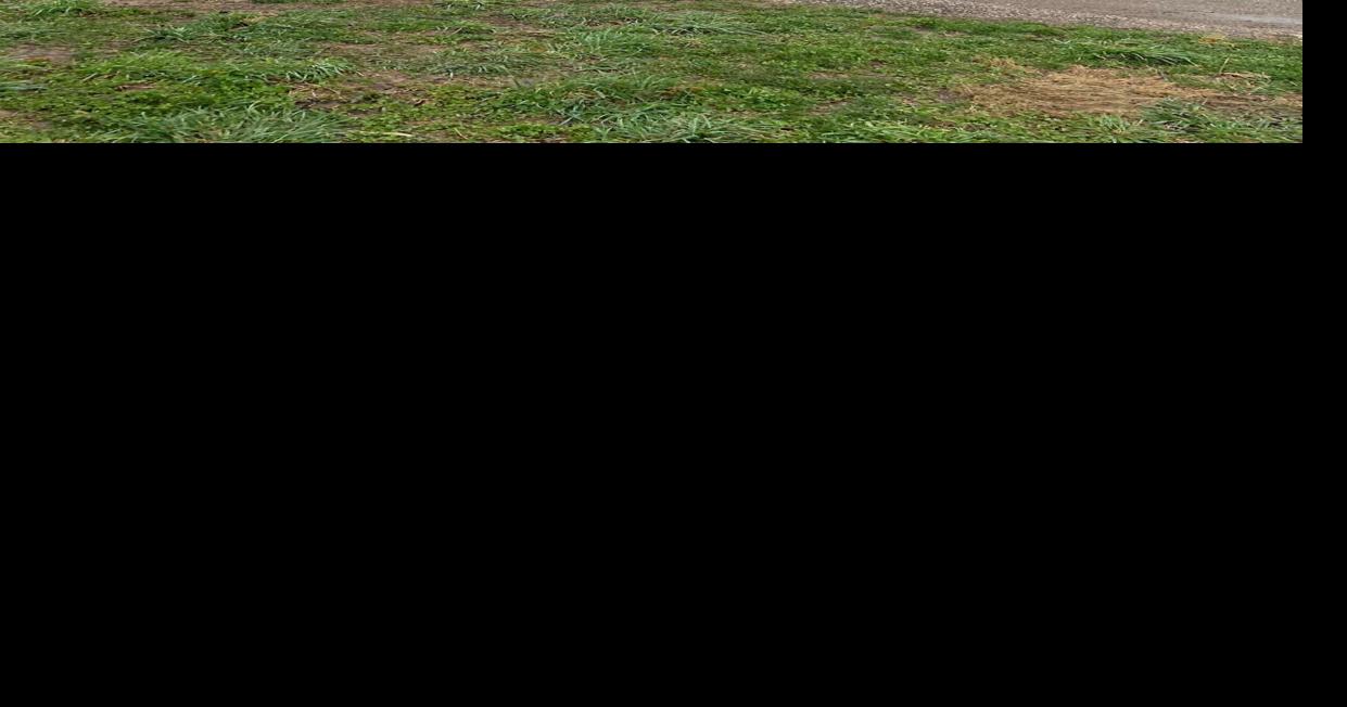 National Weather Service to survey storm damage in Washington County ...