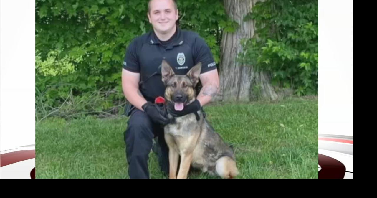 Clarksville Police Department introduces new K-9, Argo | Local News ...