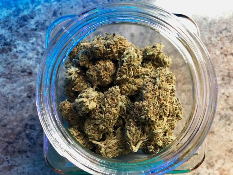 Kentucky lawmaker files bill to let voters decide on marijuana ...