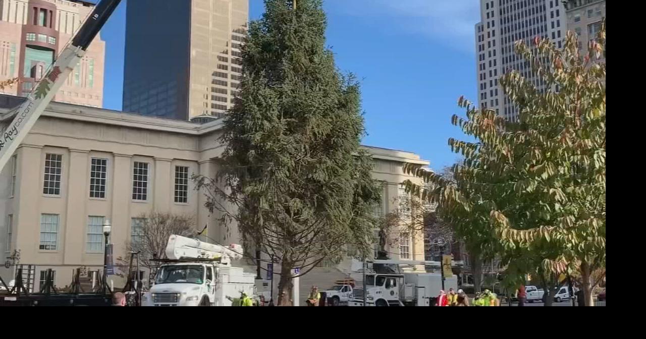 45-foot Christmas tree transported downtown ahead of Light Up ...
