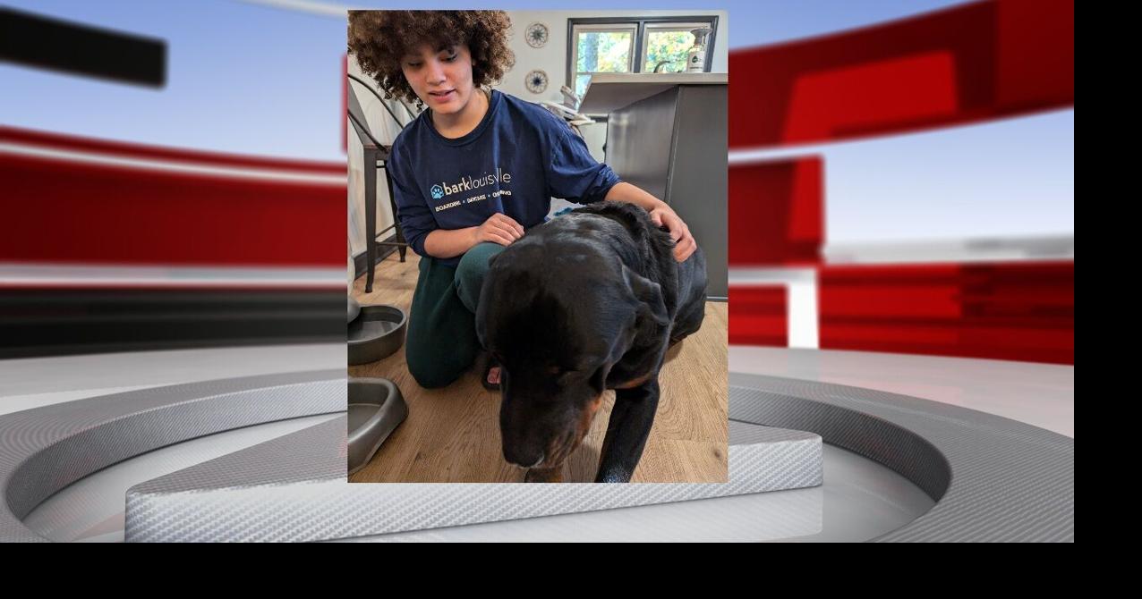 Shively Police searching for missing 13-year-old girl | | wdrb.com