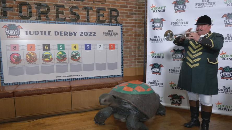 The 'Turtle Derby' lifted spirits long before the COVID-19 pandemic hit ...