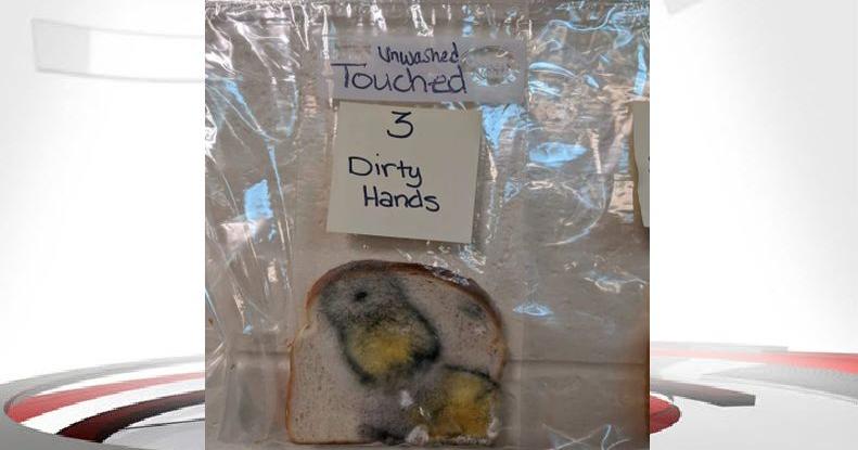 Idaho school’s moldy bread hand washing experiment goes viral after ...