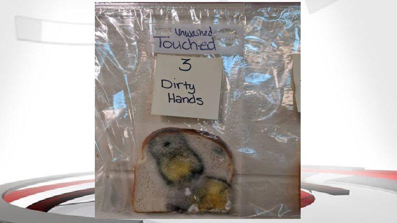 Idaho school’s moldy bread hand washing experiment goes viral after ...