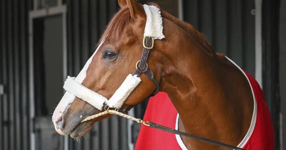 Kentucky Derby winner Mage set as 8-5 morning line favorite for ...