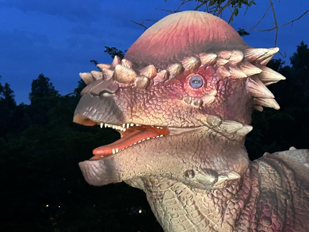 Dinopalooza invades the Louisville Zoo with dozens of dinosaurs | Morning | wdrb.com
