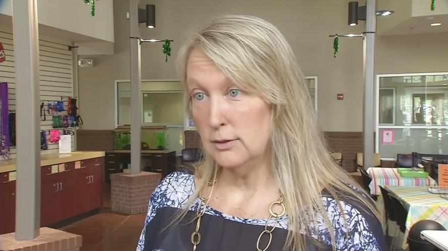 Gov. Bevin could call special session as early as Monday to deal with ...