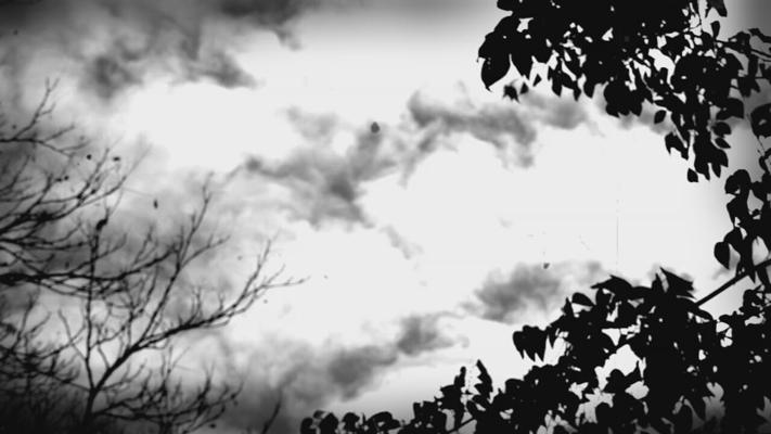Legend of Louisville's Witches' Tree and the offerings left hanging in ...