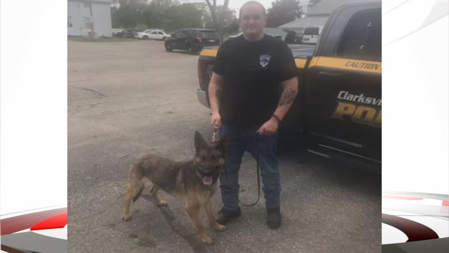 Clarksville Police Department introduces new K-9, Argo | Local News ...