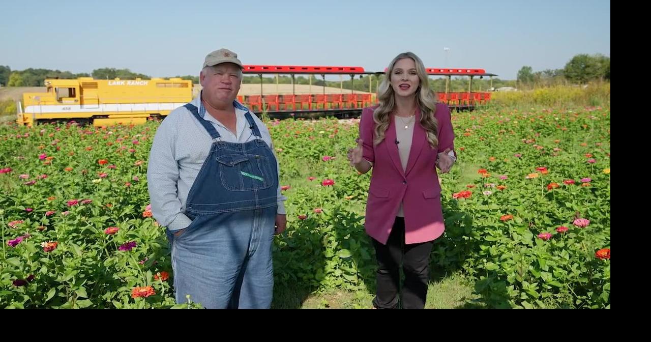 Talk of the Town | Lark Ranch is the ultimate fall experience in ...