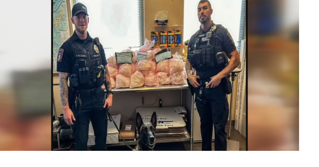 K-9 finds 187 pounds of meth in truck during traffic stop on Indiana ...