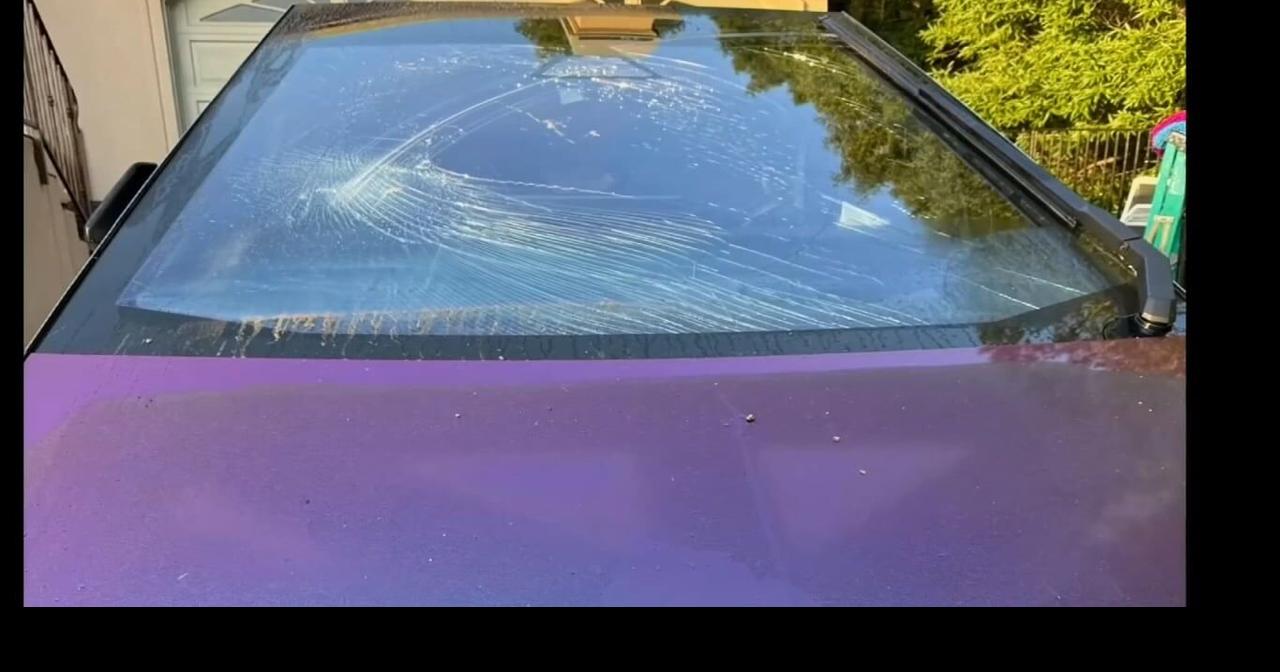 Camera captures Tesla vandal in the act of damaging Cybertruck | | wdrb.com