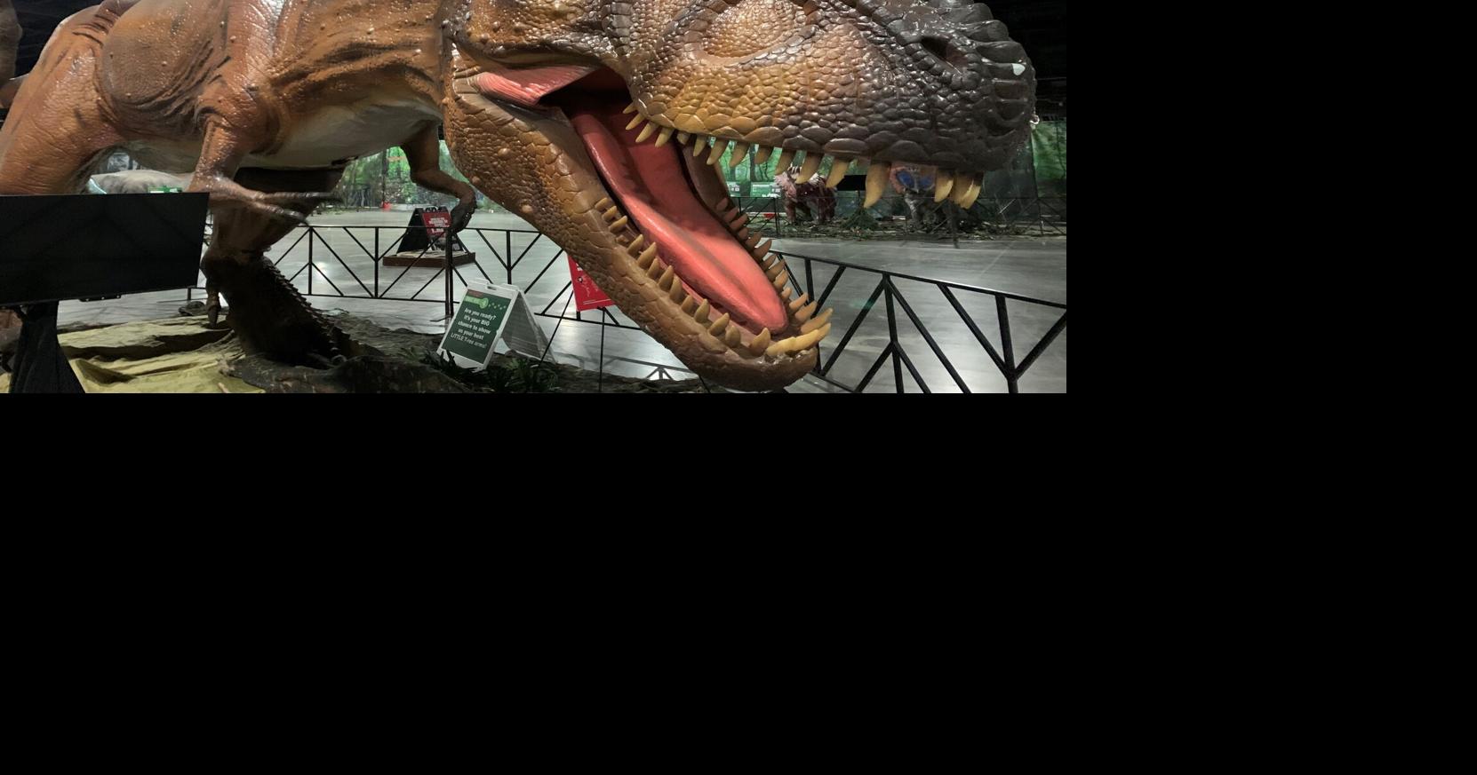 Jurassic Quest gets the whole family excited about dinosaurs | Morning ...