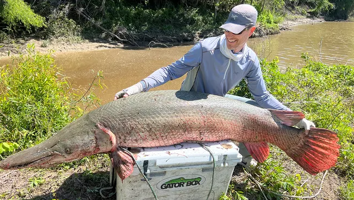 Kentucky fisherman likely breaks world record catching giant alligator ...