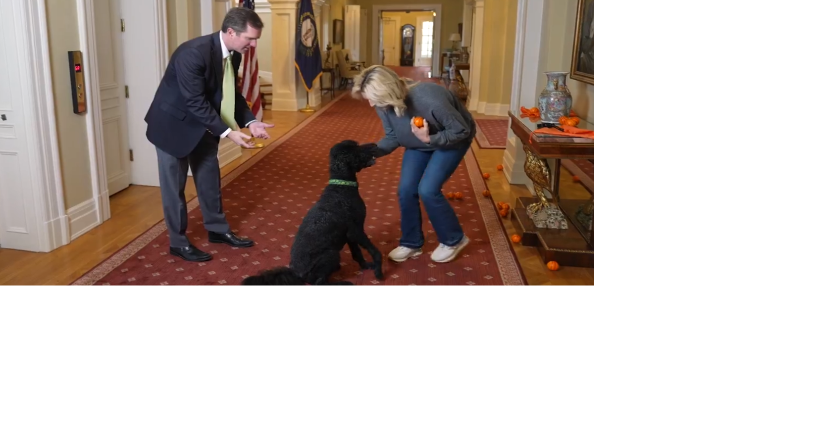 Gov. Andy Beshear’s dog Winnie makes March Madness picks | Local News ...