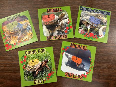 Competitors will eventually cross the finish line in the 4th Annual ...