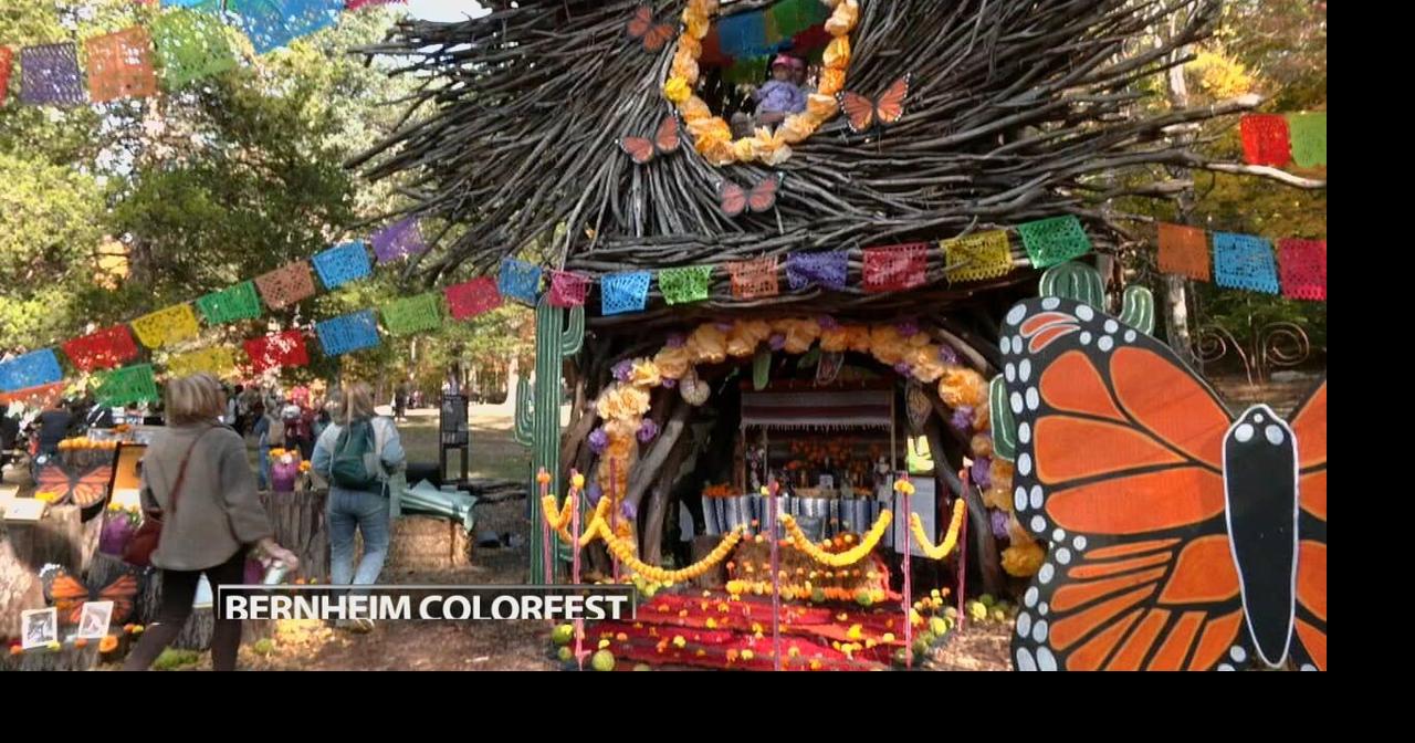 Families celebrate autumn during Bernheim Forest's Fall Festival | Wdrb ...