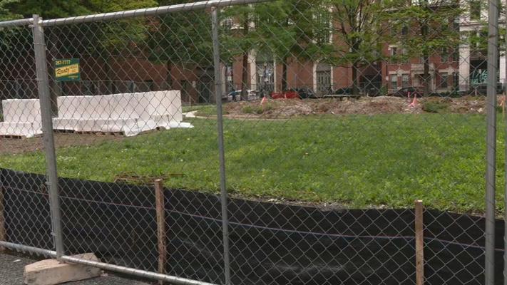 MicroForest project to bring more green space to downtown Louisville ...