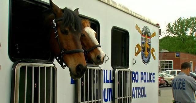 Adopt-a-horse program aims to raise awareness, money for LMPD Mounted ...