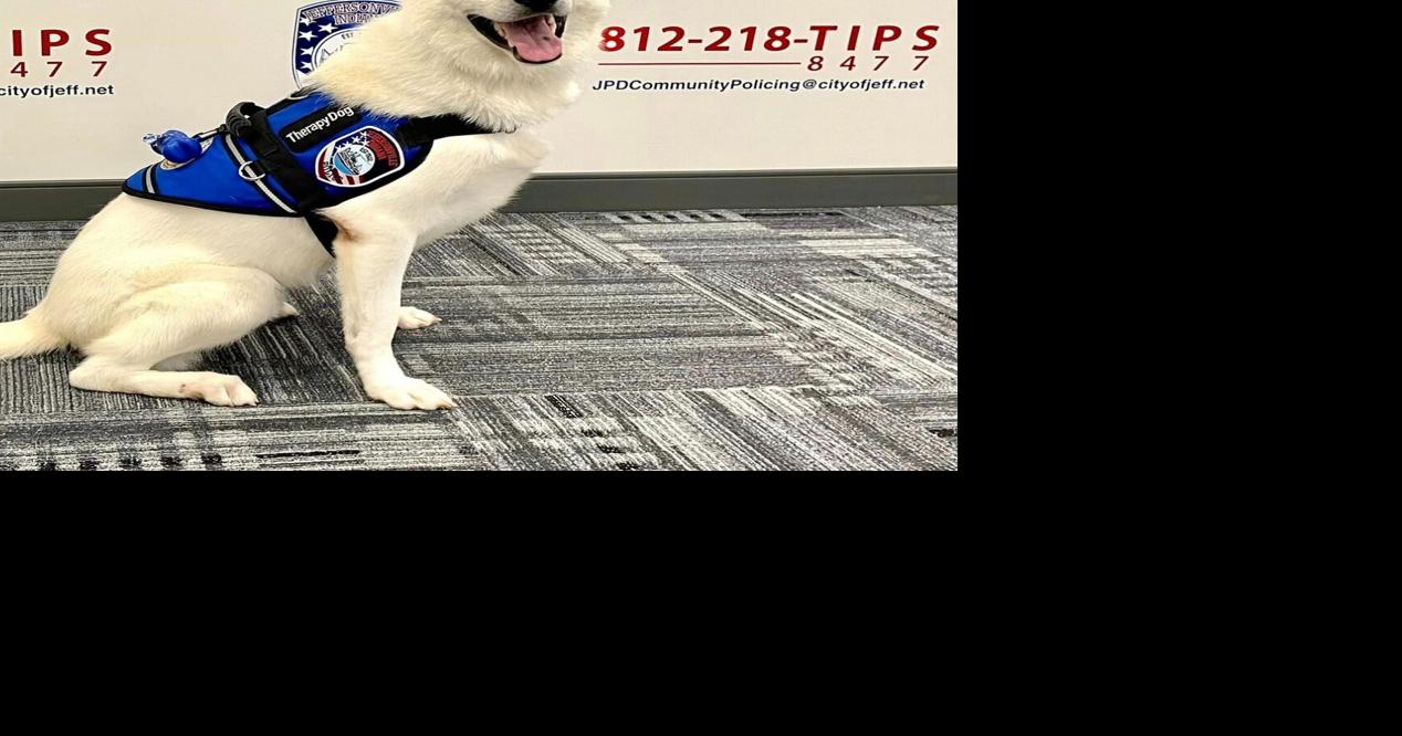 Jeffersonville Police Department adds furry companion to help victims ...