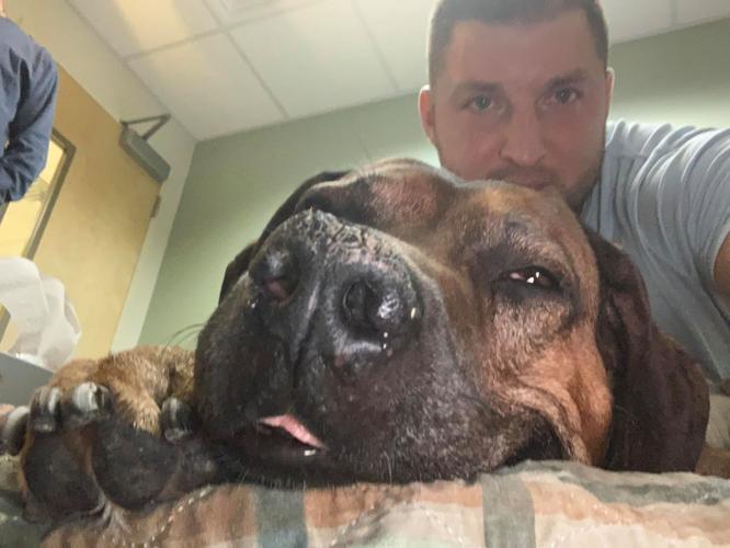 Football star Tim Tebow posts heart-wrenching goodbye to beloved family ...