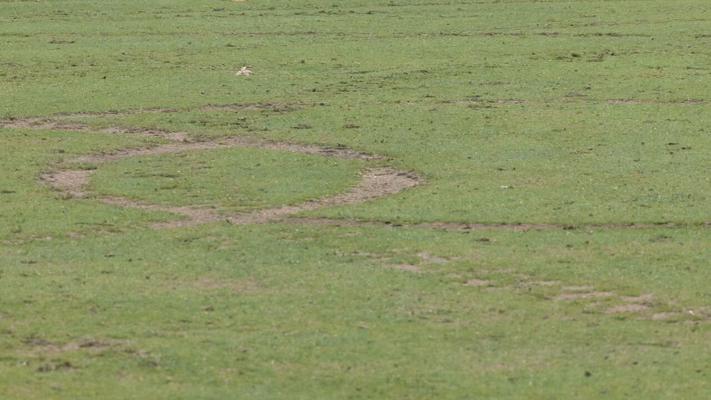 South Louisville golf course vandalized, roughly thousands in damage ...
