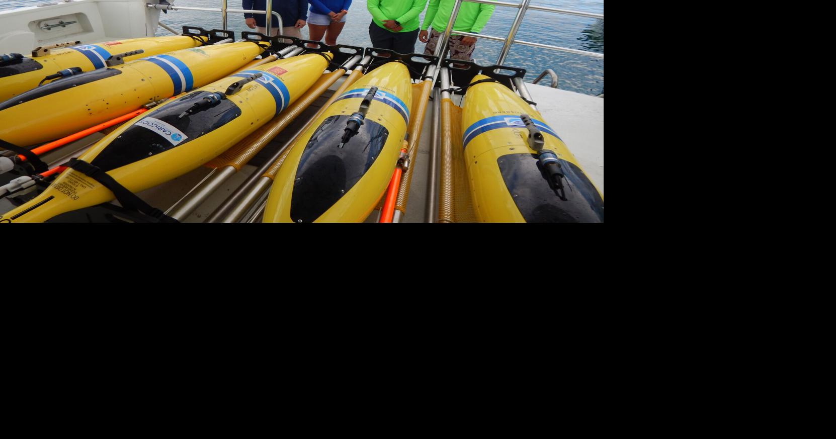 Gliders and Drones | How We Can Study Weather From Afar and Still Get ...