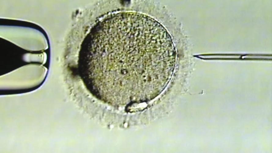 Indiana panel fails to endorse law creating 'fertility fraud' felony ...