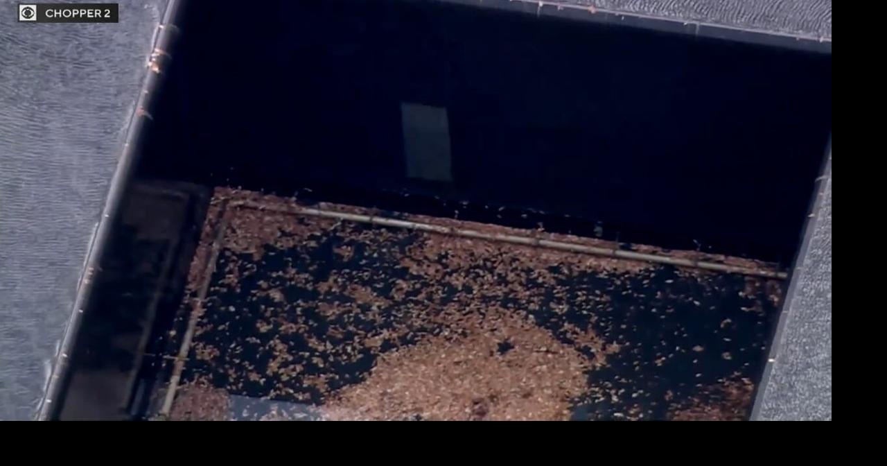 Man pulled from World Trade Center Memorial reflecting pool | Wdrb ...