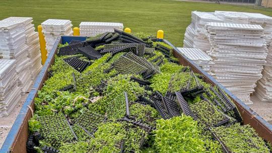 Urban farming startup Square Roots abruptly shutters Shepherdsville, Ky ...