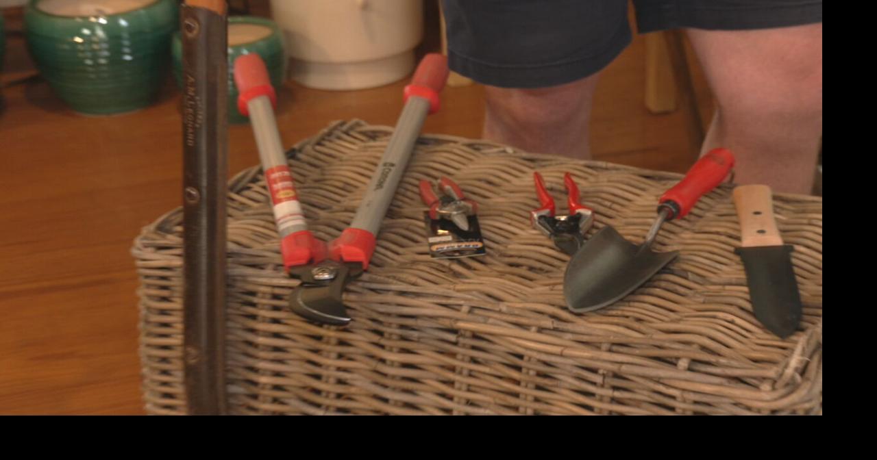 5 gardening tools you need to make easy work of maintaining your plants ...