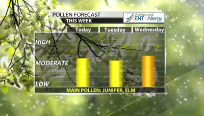 Tree Pollen on the rise! | Weather Blog | wdrb.com