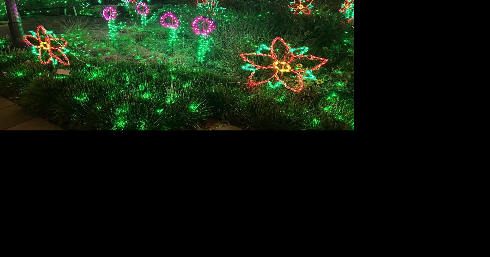 Gardens Aglimmer returns for its 6th year at Waterfront Botanical Gardens | Morning | wdrb.com