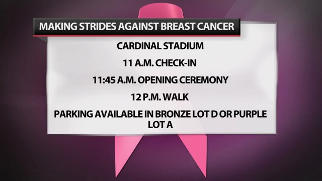 Making Strides Against Breast Cancer walk returns in person at Cardinal ...