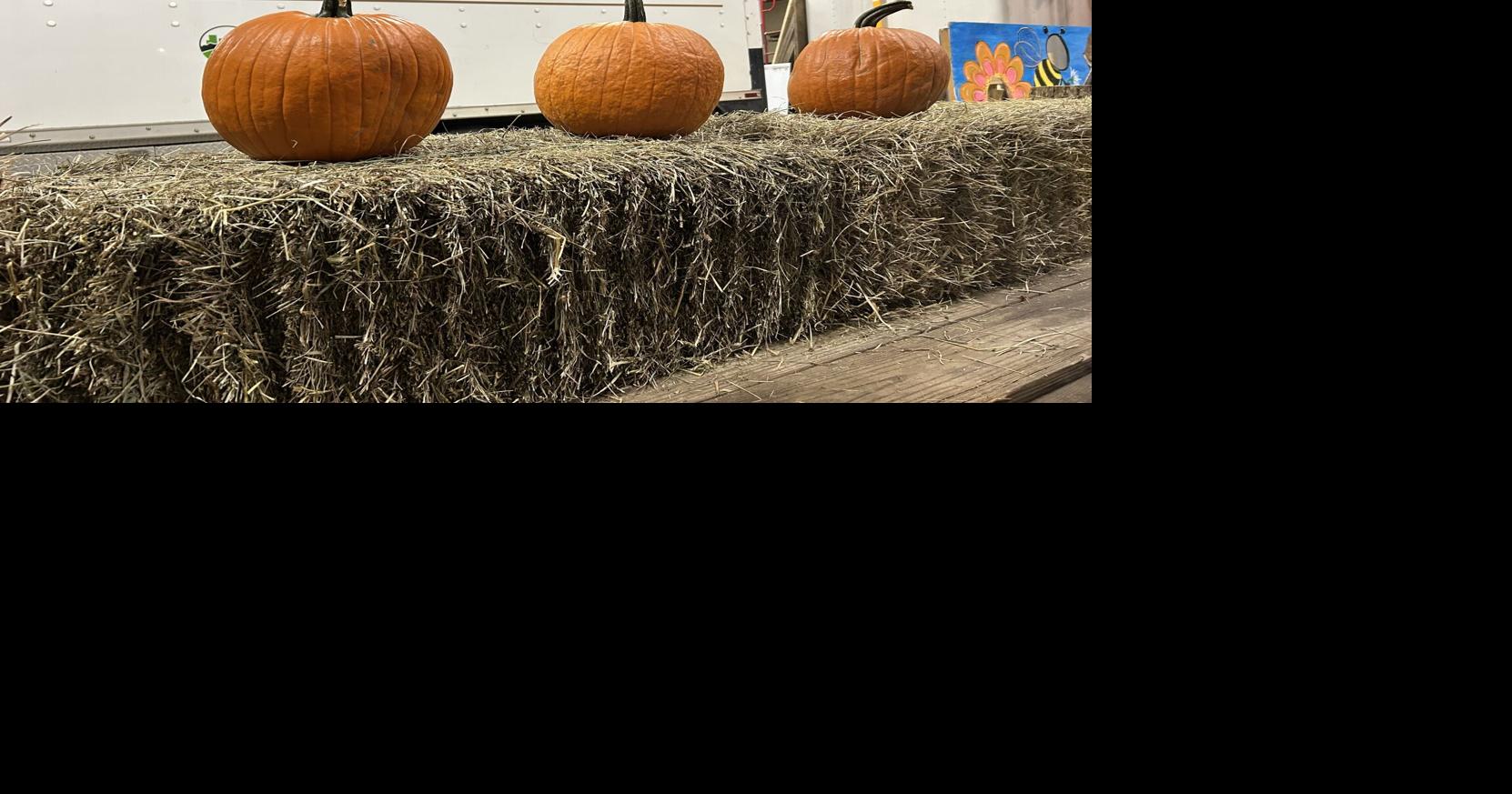 The annual Hayride in the Park explores the autumn scenes in Iroquois ...