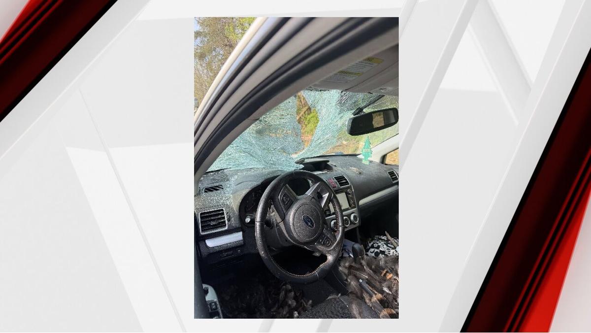 Turkey crashes into windshield, hits driver on highway in Clark County ...