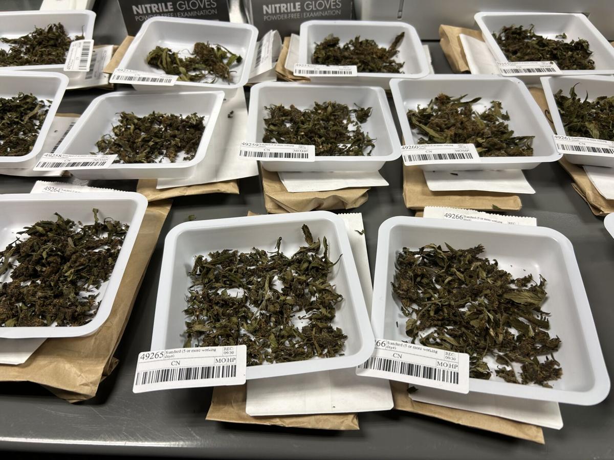 Lottery drawing to be held Monday to determine medical cannabis ...