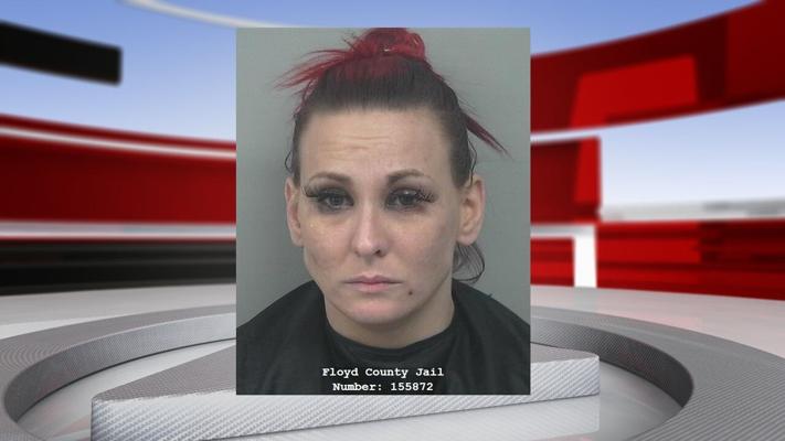 Southern Indiana woman sentenced for assisting suspect after deputy ...