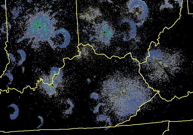 ROOST RINGS Detected By NWS Doppler Radar. Do You Know What Causes ...