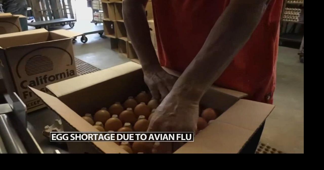 Eggs shortage in grocery stores due to bird flu | Wdrb-video | wdrb.com
