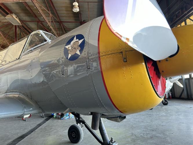 IMAGES | The Planes of Thunder Over Louisville 2024 | Thunder | wdrb.com