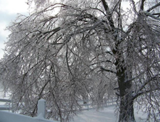 10 Years Later: Remembering the 2009 Ice Storm | Weather Blog | wdrb.com