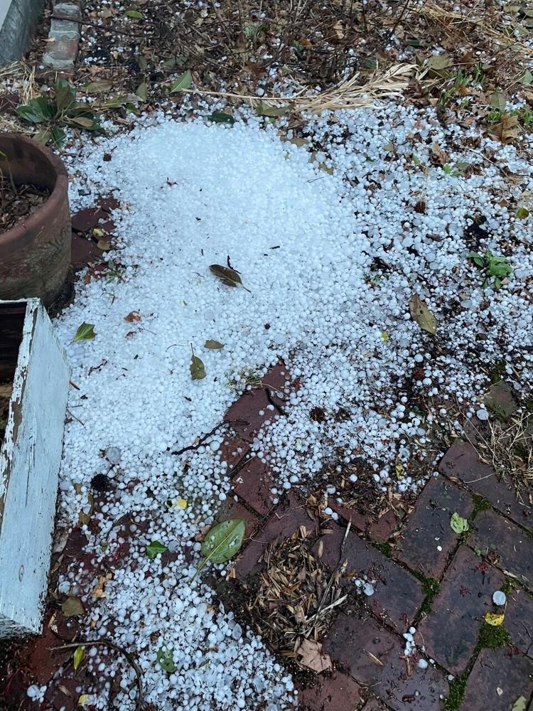 IMAGES | Severe hailstorm strikes Kentuckiana area with large ice ...