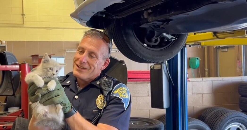 VIDEO | Indiana State Police sergeant in Sellersburg rescues kitten ...