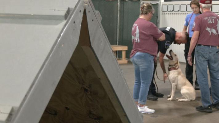 Southern Indiana police department receives new K-9 from nonprofit ...