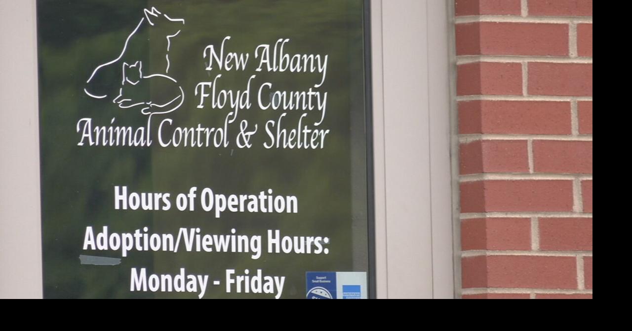 Floyd County and New Albany consider animal services options | Local ...