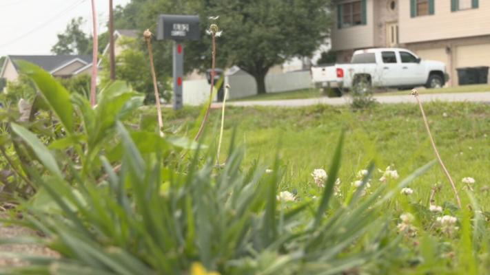Police investigating suspected murder-suicide in Vine Grove, Kentucky ...